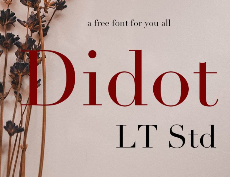 Didot LT Std Roman Font Download – Free Chinese Font Download